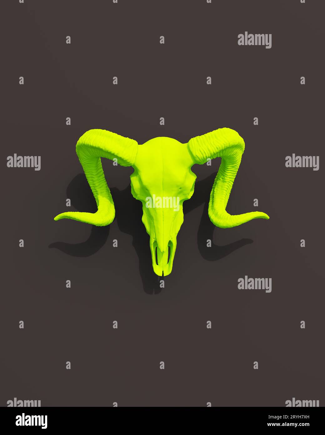 Green ram skull Halloween black background creepy witchcraft horror ...