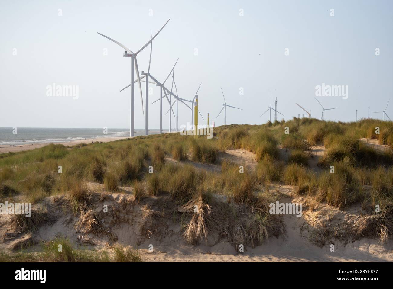 4 June 2023, Rotterdam, Netherlands, wind power turbines facilities in ...