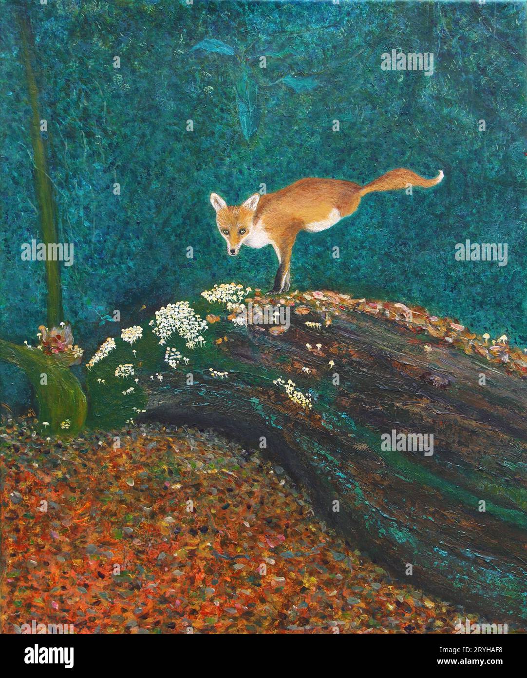 Red Fox , European Fox born without hind legs. This painting depicts ...
