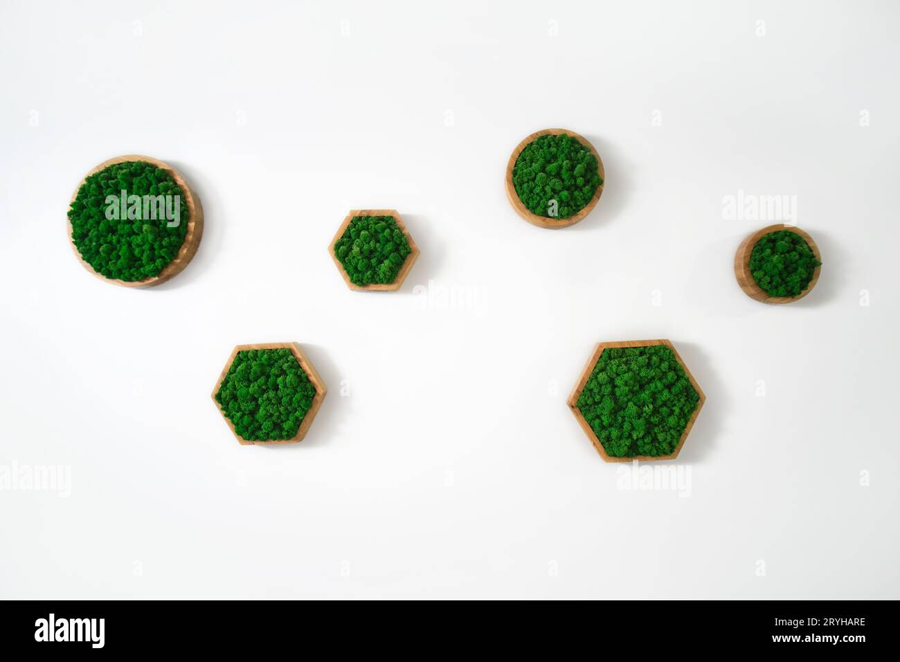 The textured wall with its geometric shape moss creates a visually ...