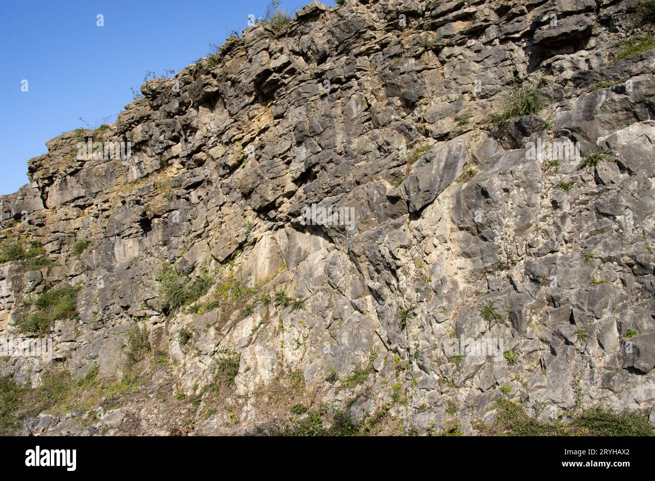 Beds of Limestone deposited 340 million years ago in shallow tropical ...