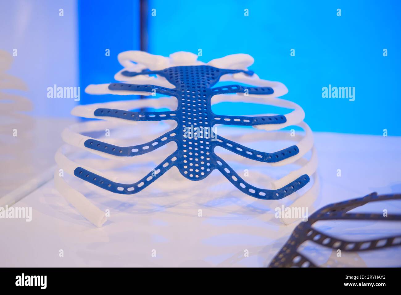 Prosthetic limb model hi-res stock photography and images - Alamy