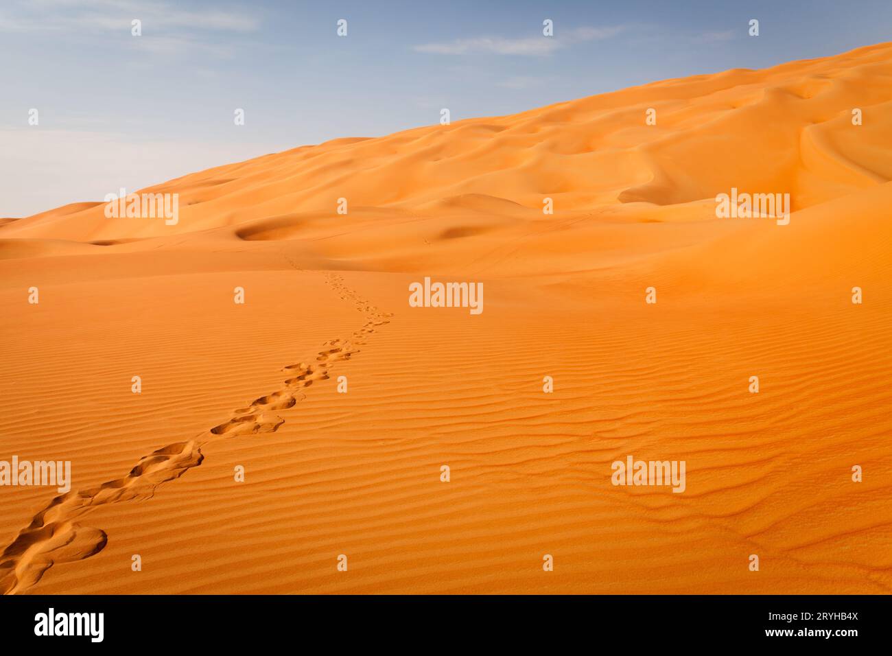 Human footsteps in sand dunes in the desert in Abu Dhabi, UAE Stock ...