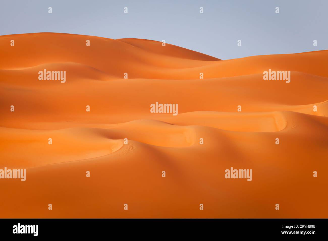 Natural landscape of the wast sand dunes in the desert in Abu Dhabi in ...