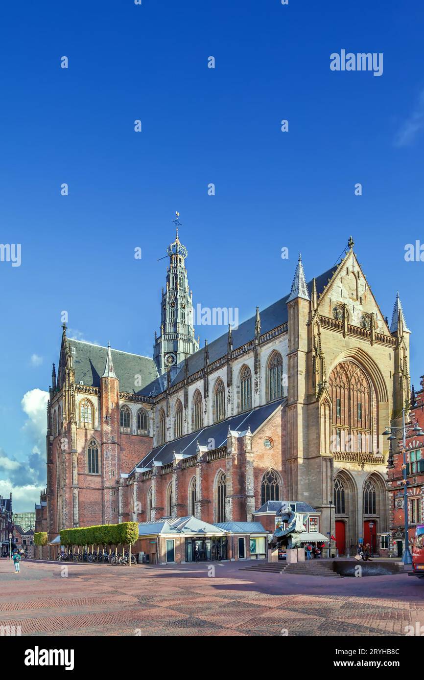 Church of Saint Bavo, Haarlem, Netherlands Stock Photo - Alamy