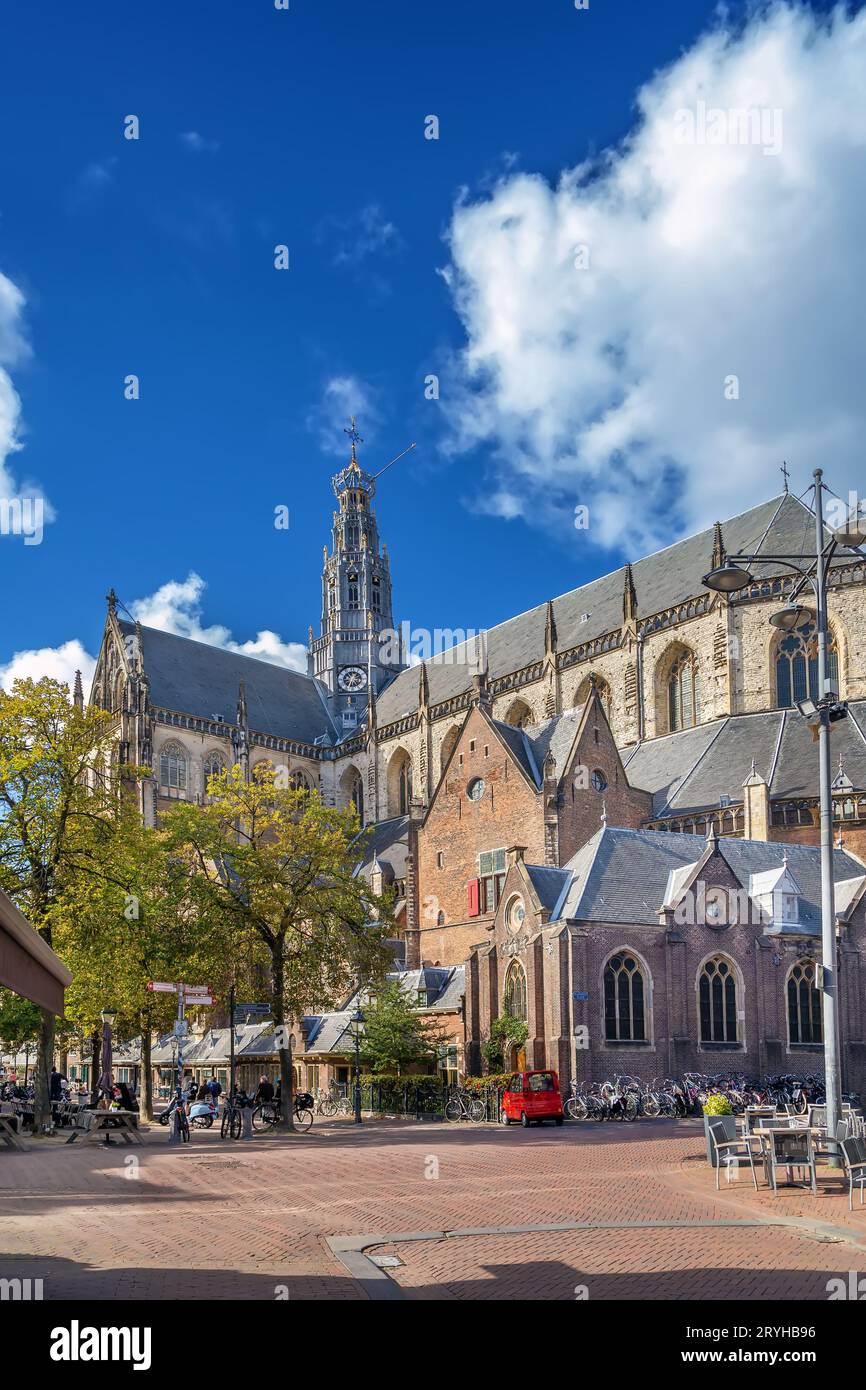 Church of Saint Bavo, Haarlem, Netherlands Stock Photo - Alamy