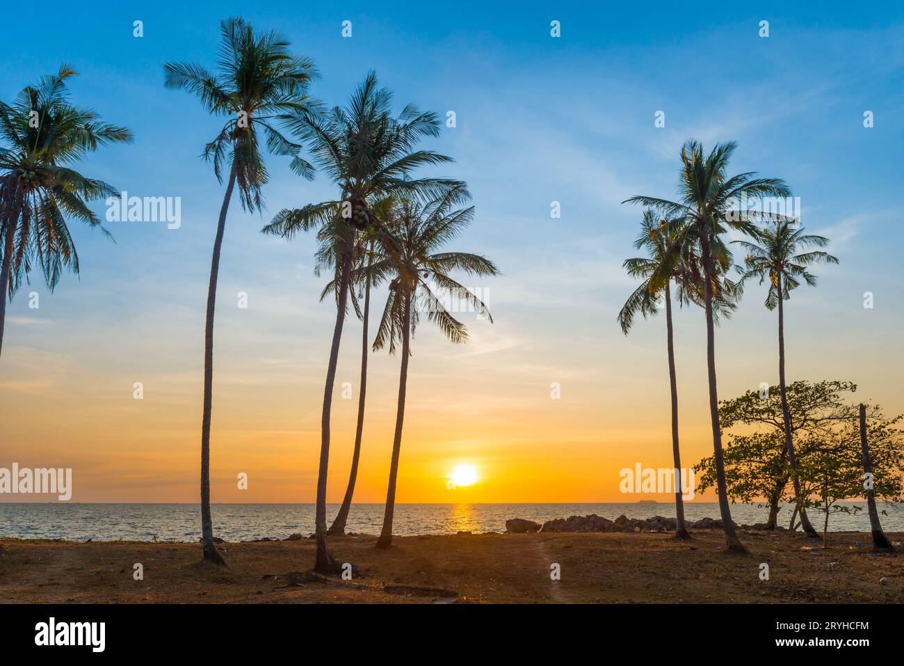 Beautiful beach green palm trees hi-res stock photography and images ...
