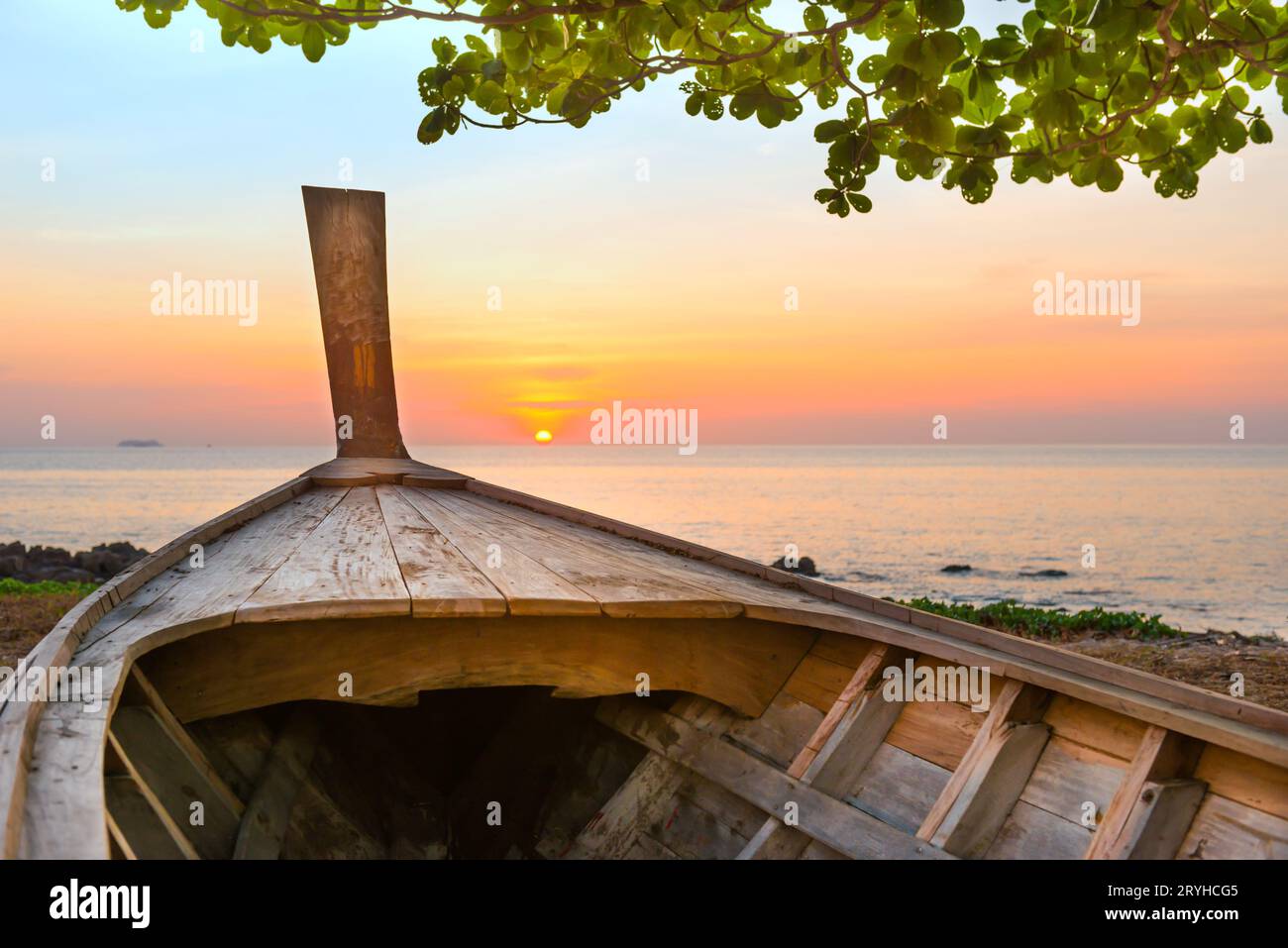 Old tree beach sunset hi-res stock photography and images - Alamy