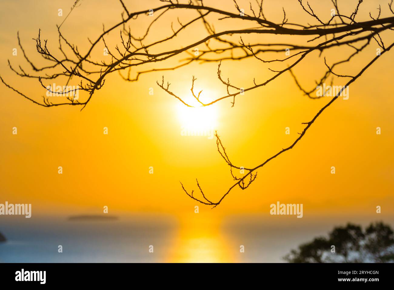 Beautiful sunlight through tree branches hi-res stock photography and ...