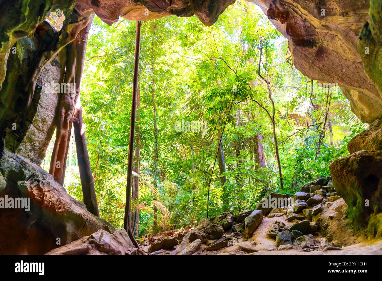 Dark of the sun hi-res stock photography and images - Alamy