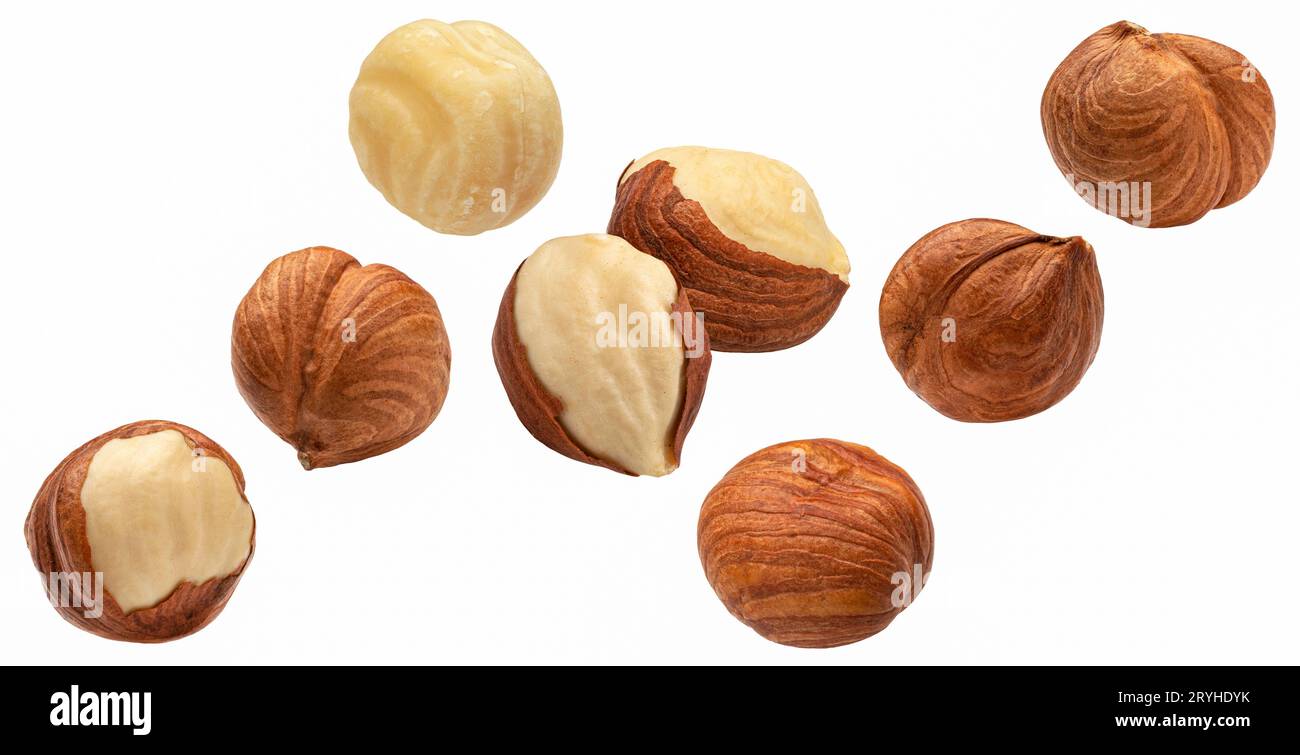 Falling hazelnuts isolated on white background Stock Photo - Alamy