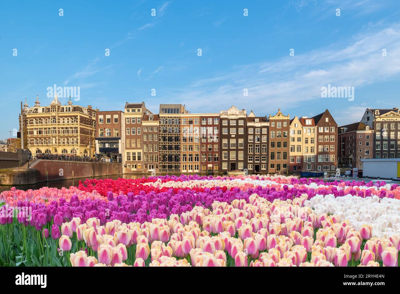 Amsterdam Netherlands, city skyline at canal waterfront with spring ...