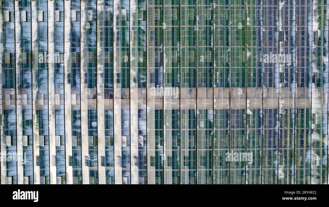 An aerial view shows greenhouses for growing strawberries from above ...