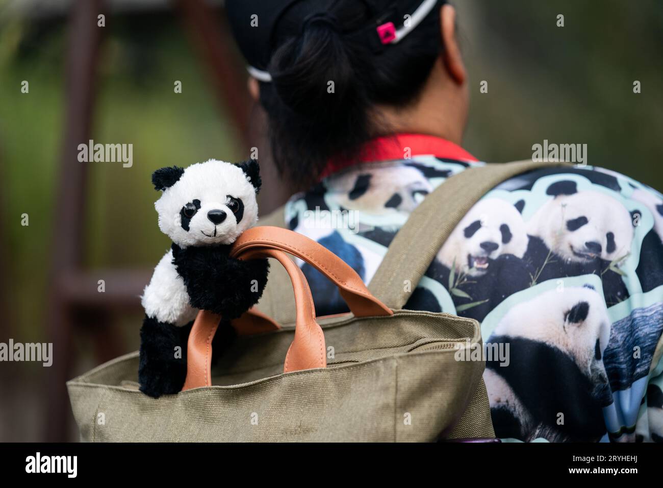 China wildlife conservation association hi-res stock photography and ...