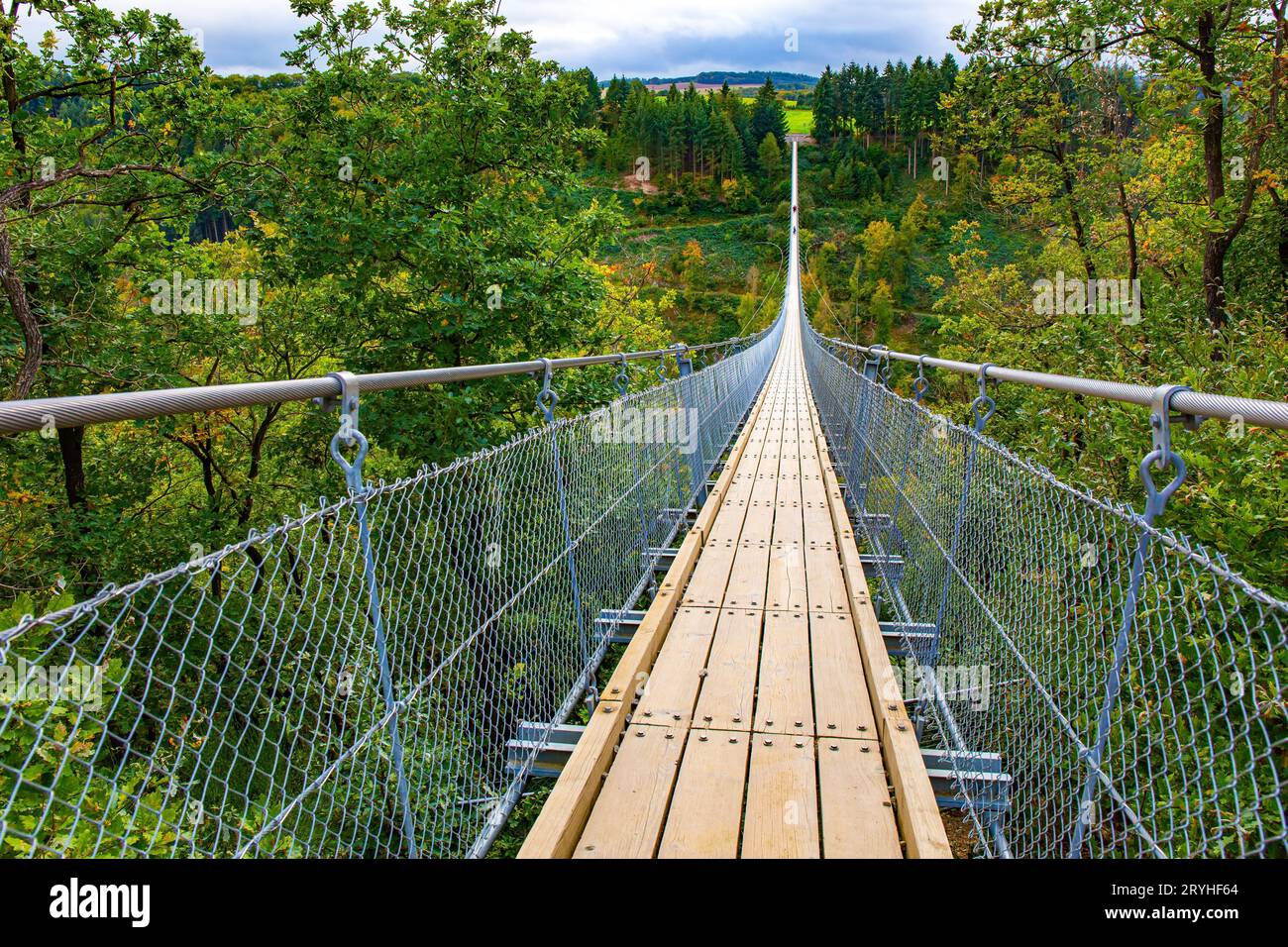 Geierlay footbridge hi-res stock photography and images - Alamy