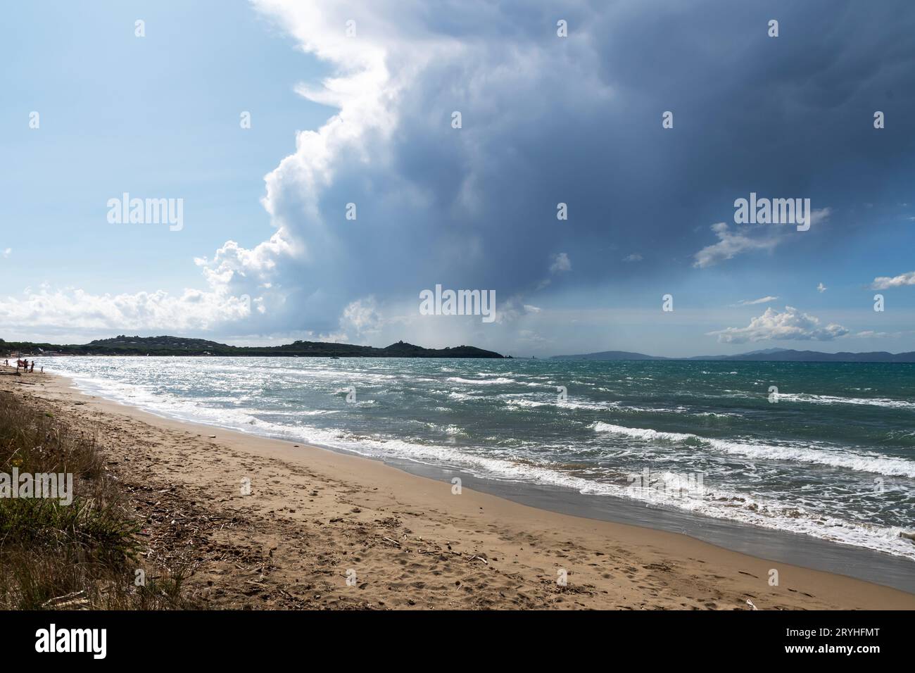 Punta Ala beach, wild nature and crystal clear sea. Maremma, Italy ...