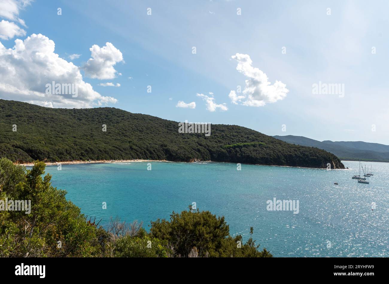 Cala violina toscana hi-res stock photography and images - Alamy