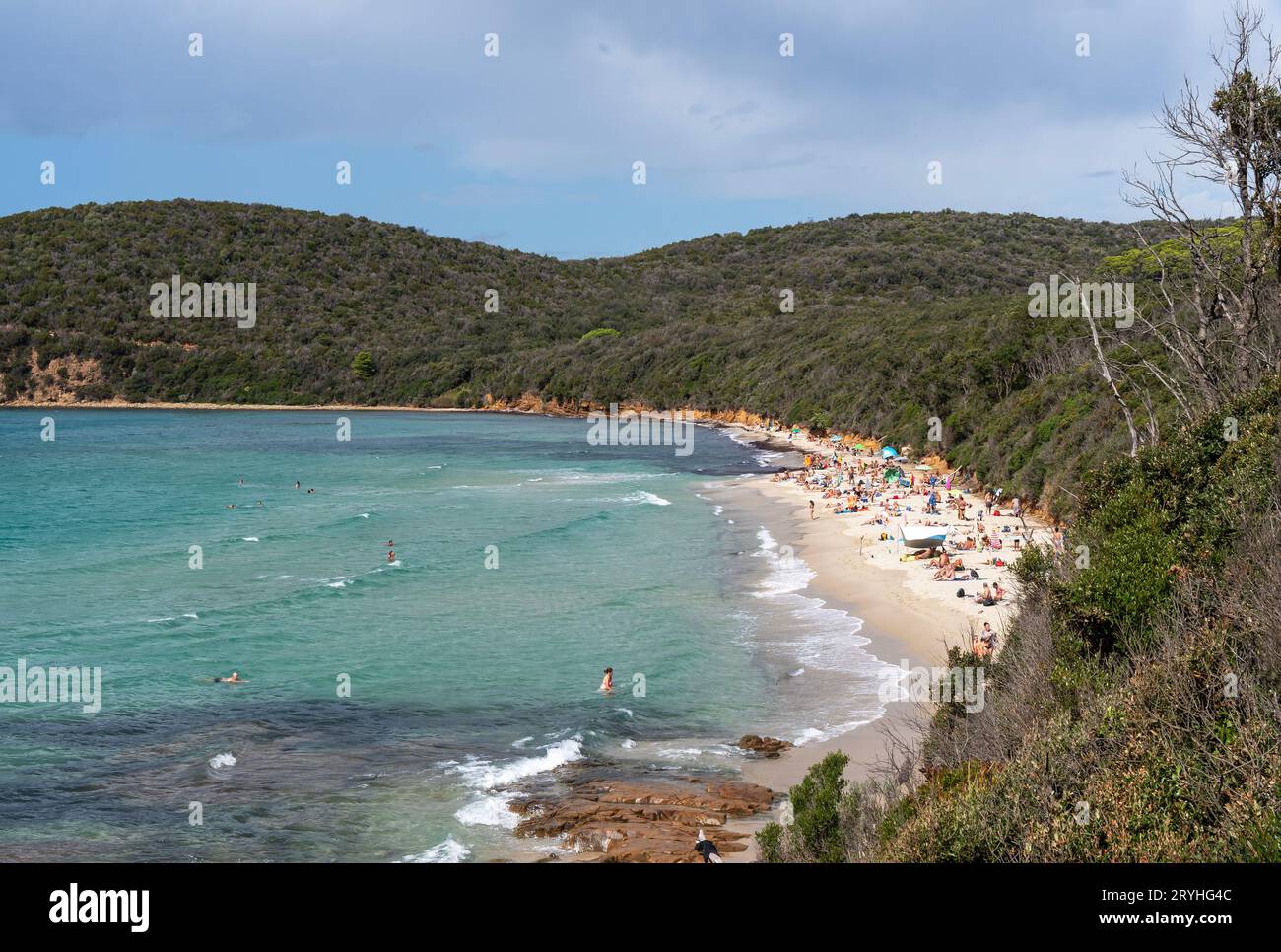 Cala Violina beach, wild nature and crystal clear sea. Maremma, Italy ...