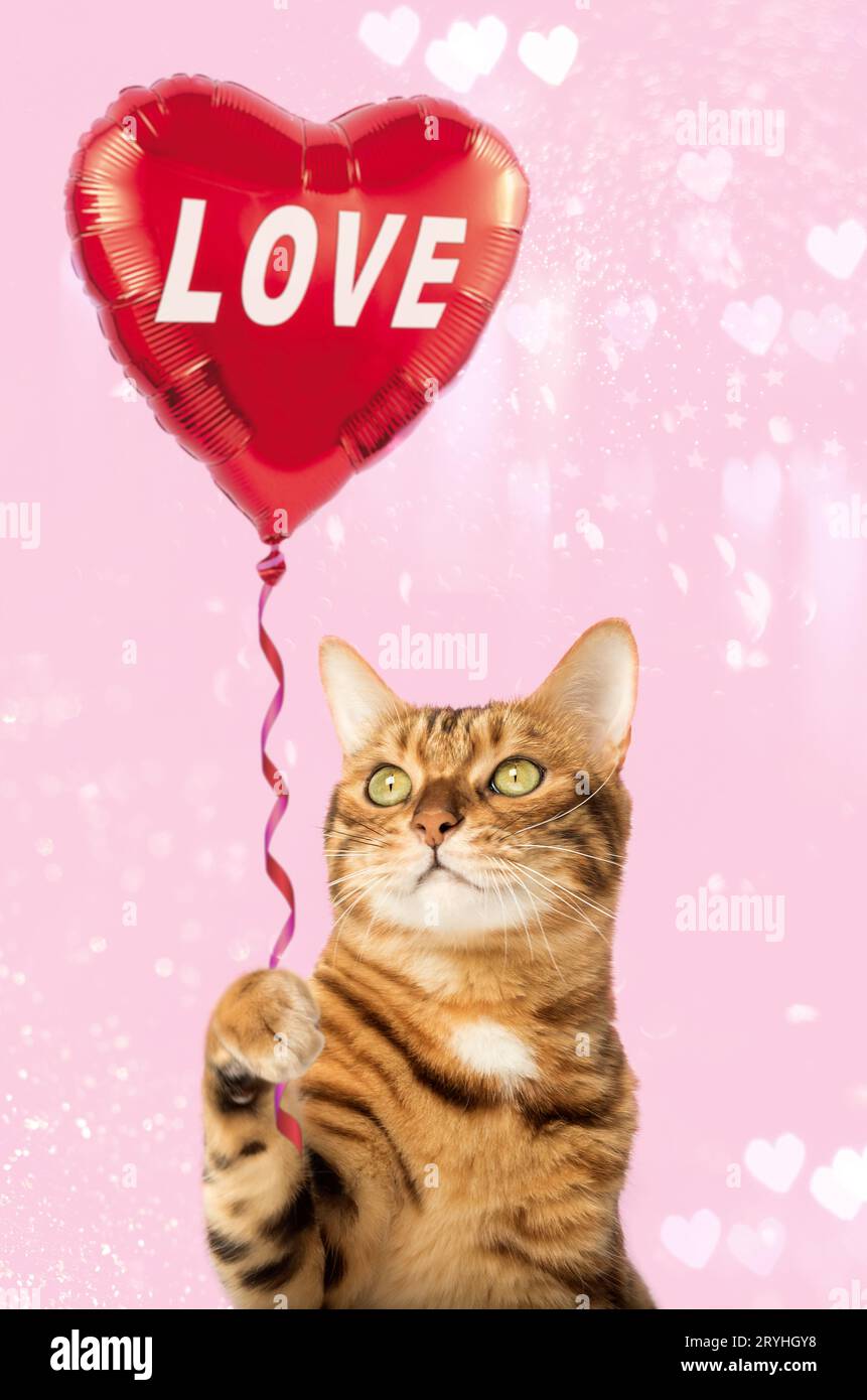 Cute cat holding heart balloon, love card, greeting card Stock Photo ...