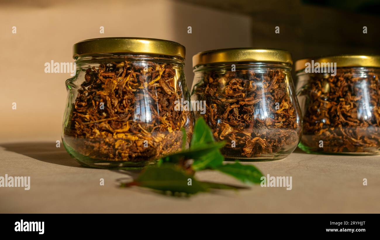 photo with jars, dried mushrooms, home preserves, preserving products ...