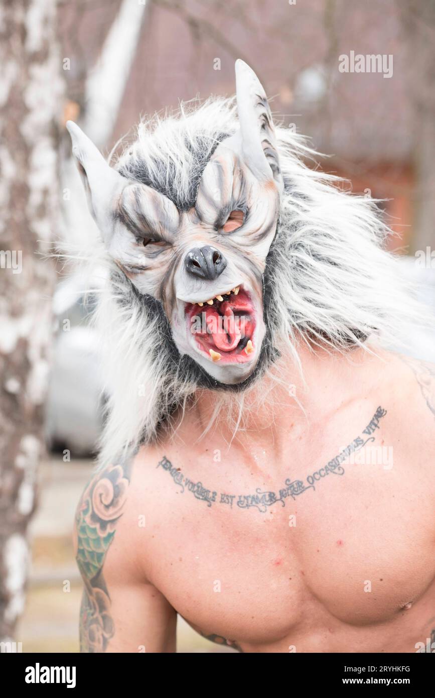 Person Wearing A Werewolf Mask On The Head Hiding The Face Person ...