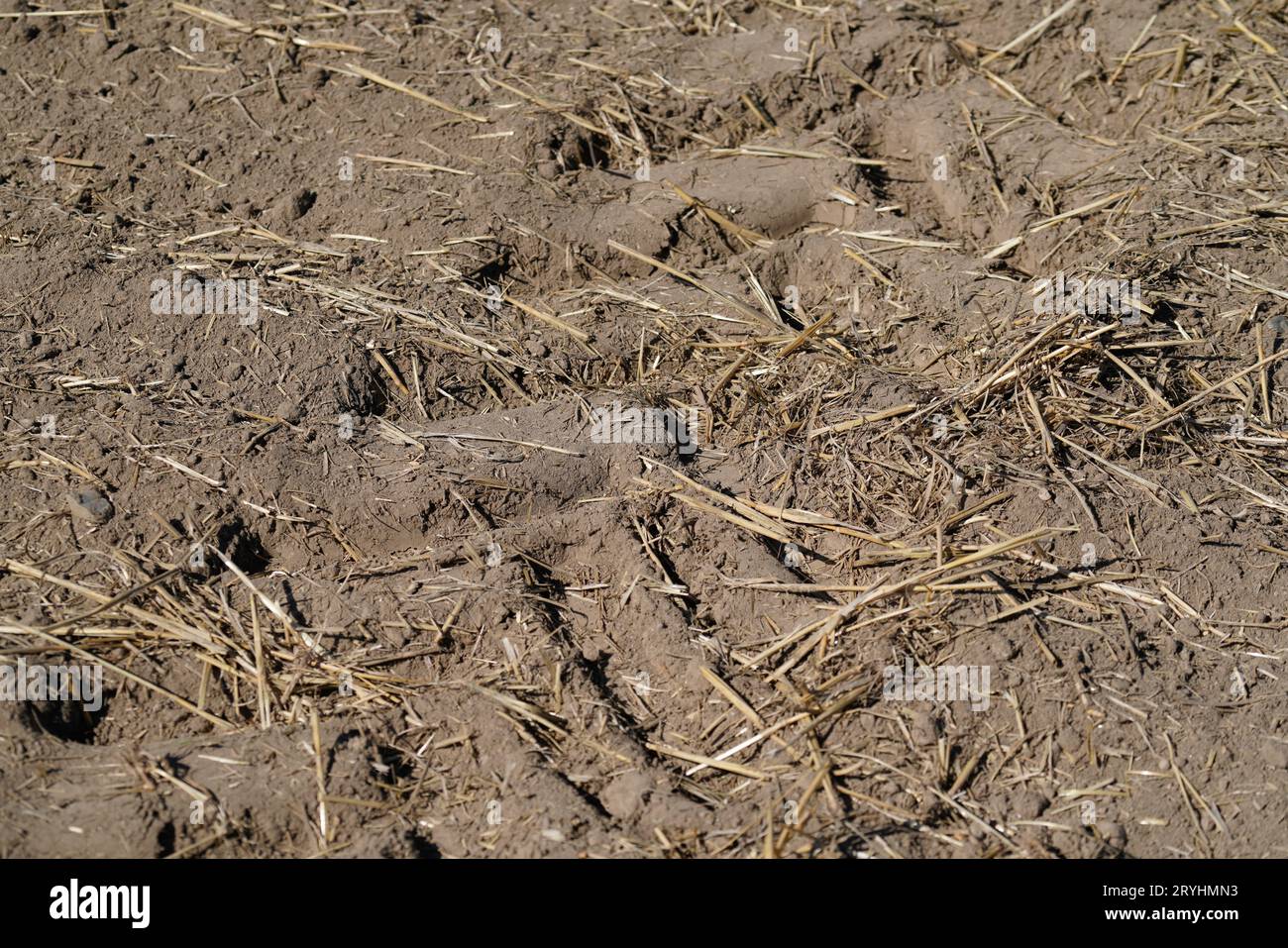 Soil from the quarry as a waste product and for versatile use in the ...