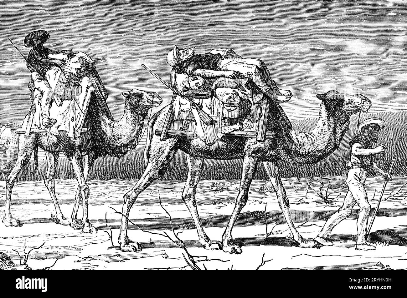 Burke, Wills and King press on, exhausted by hunger and fatigue,1861 ...