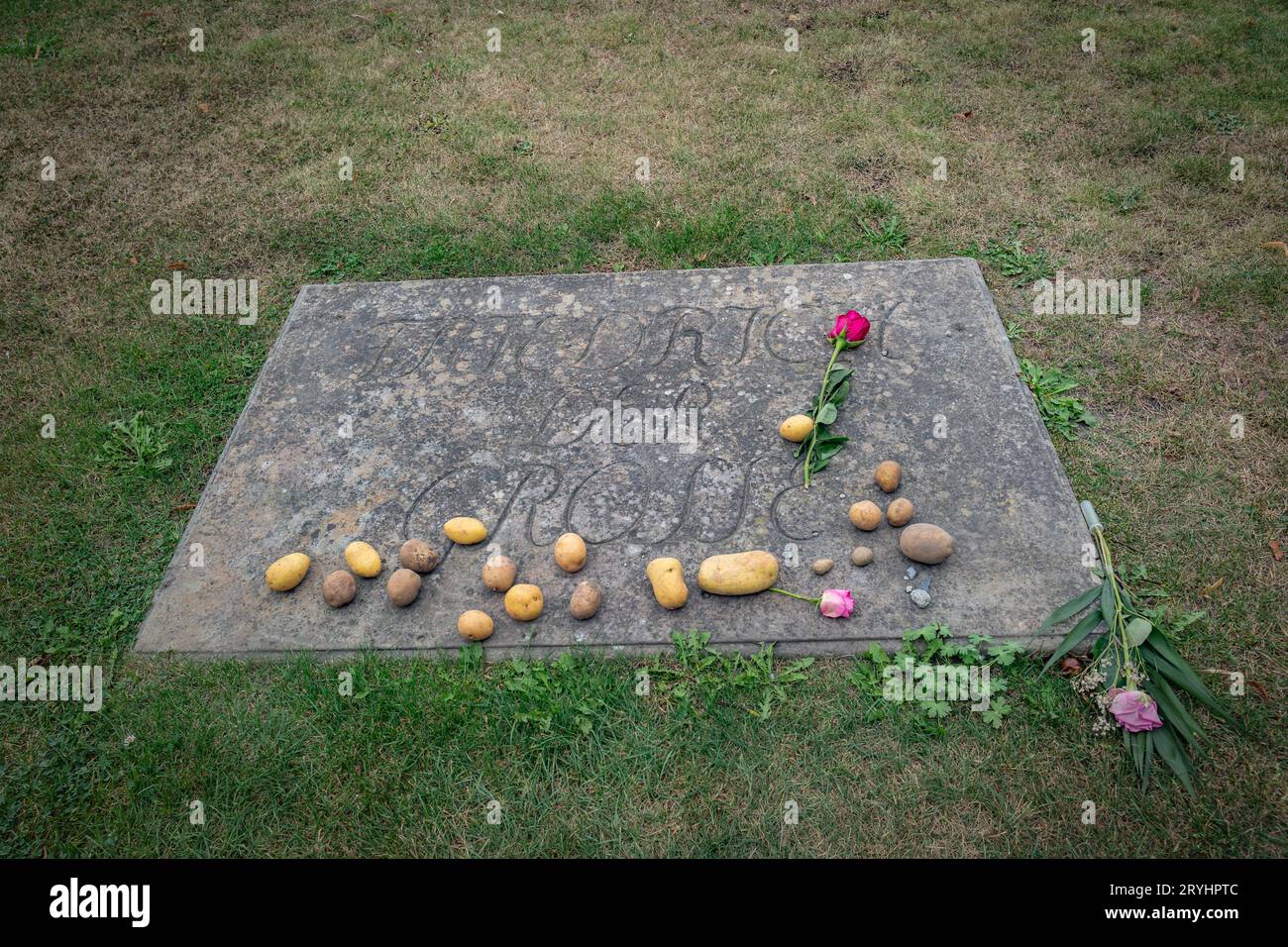 Potsdam, Landeshauptstadt Brandenburg: Schloss Sanssouci und ...