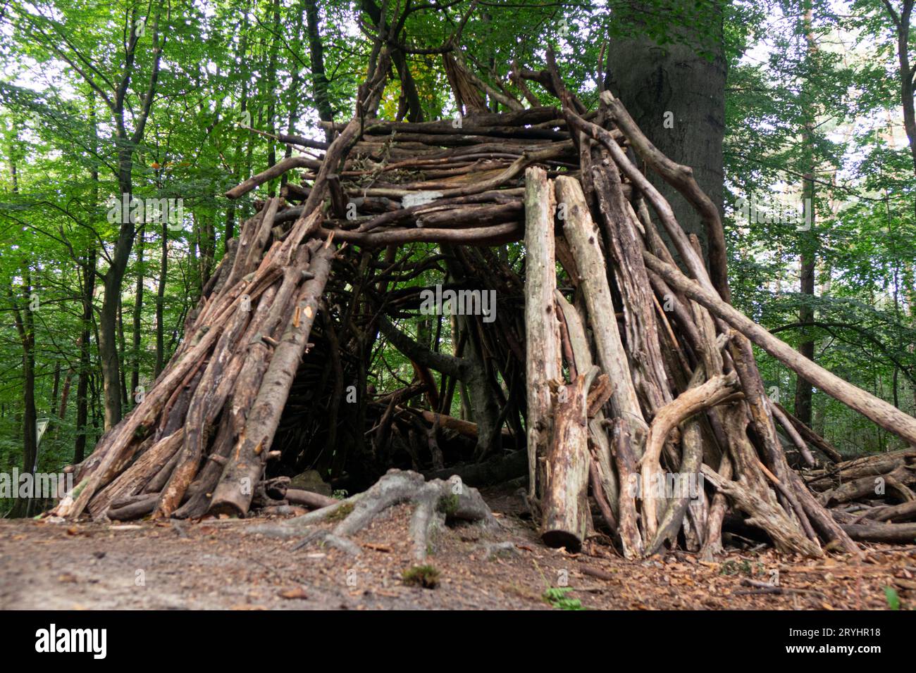 Hut made of branches hi-res stock photography and images - Alamy