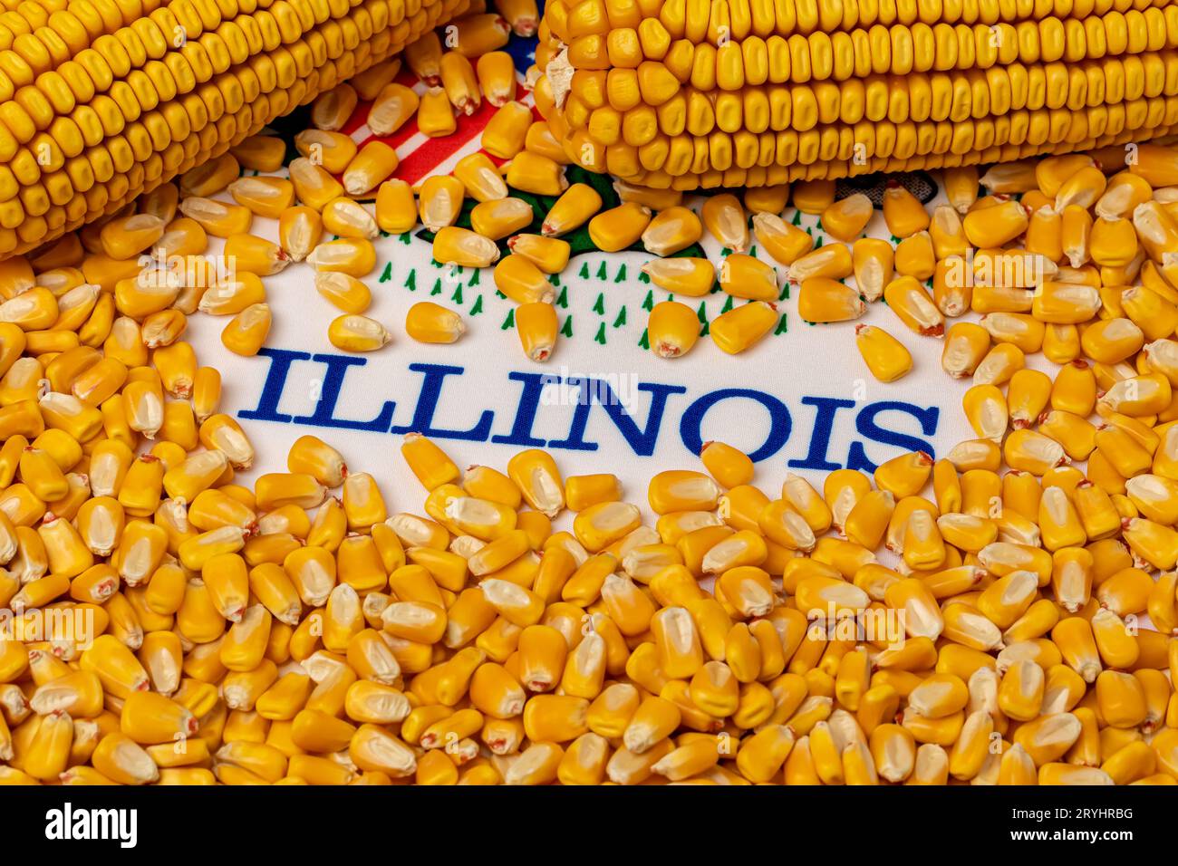 Flag of Illinois covered in corn kernels. Farming, agriculture and ...