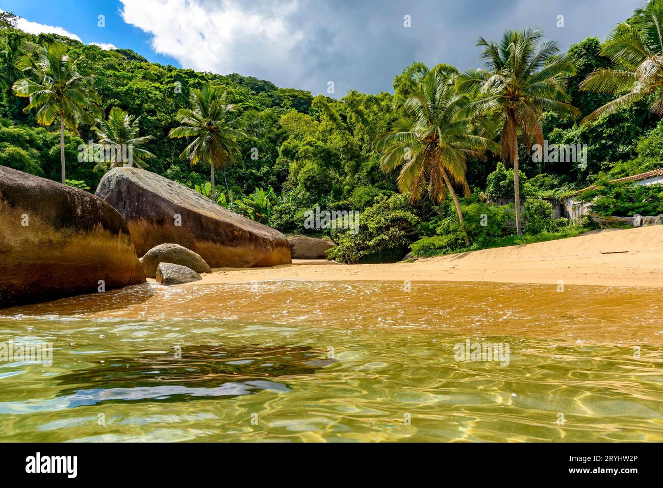 Beautiful rainforest scene hi-res stock photography and images - Alamy