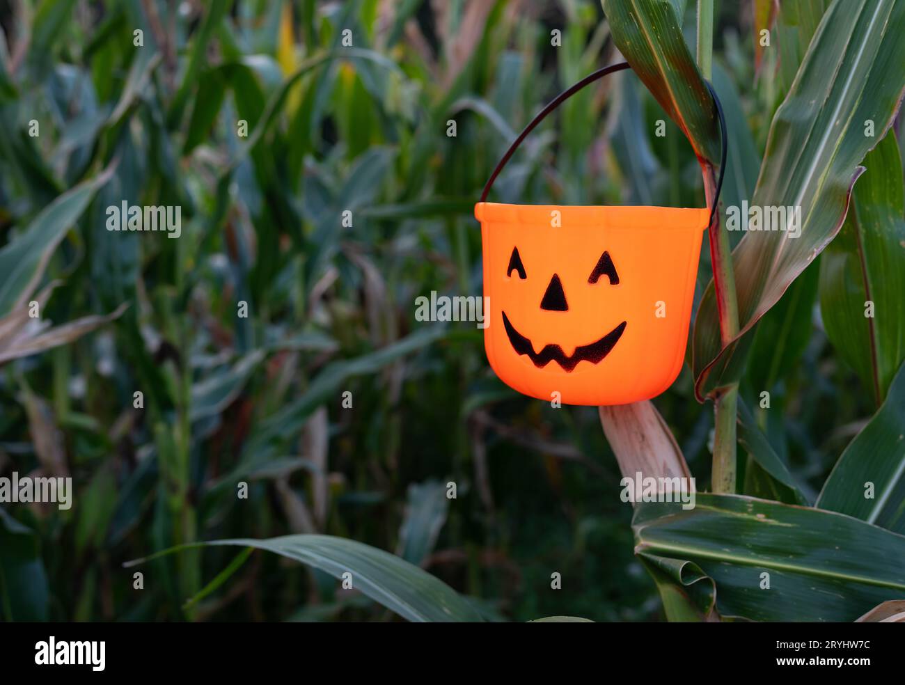 Concept for celebrating Halloween on October 31st. An orange bucket ...