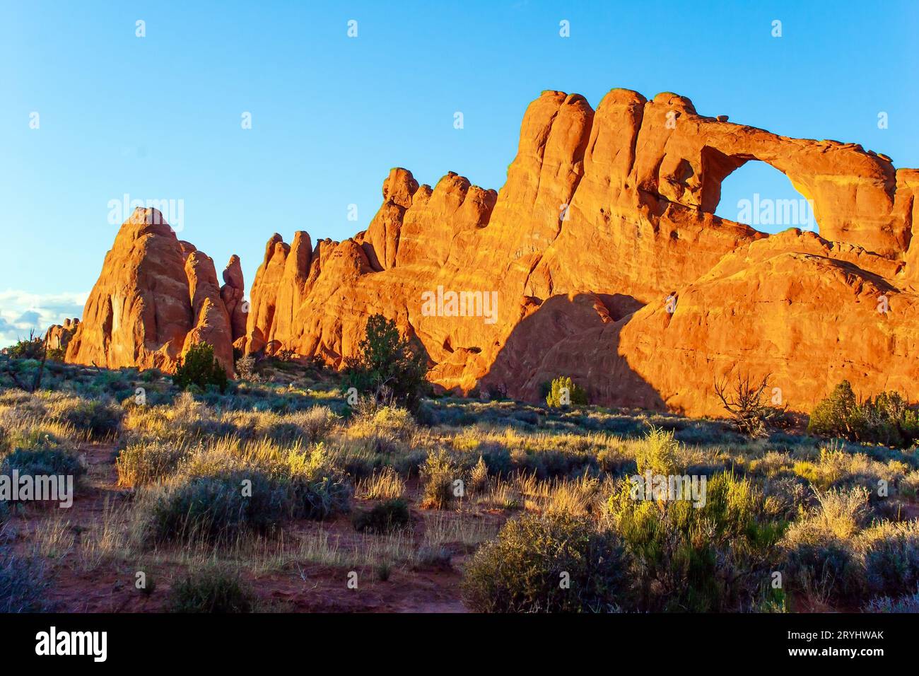 Various compositions hi-res stock photography and images - Alamy