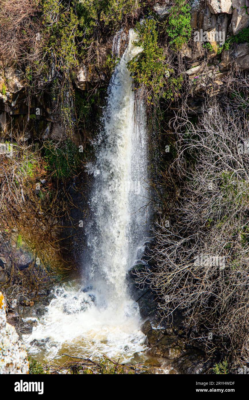 Powerful waterfall but beautiful hi-res stock photography and images ...