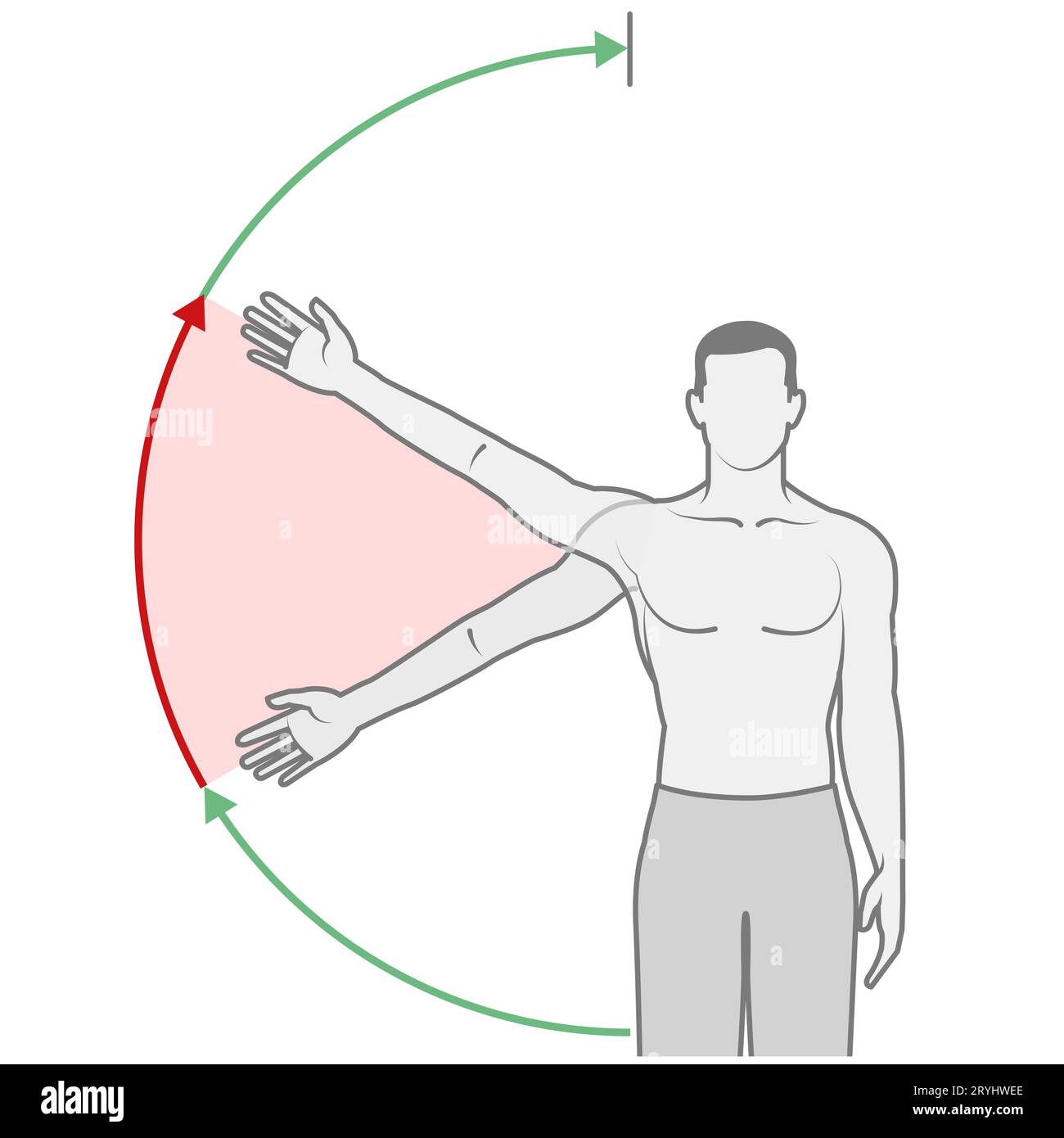 The Painful Arc Test is a clinical examination for shoulder impingement ...