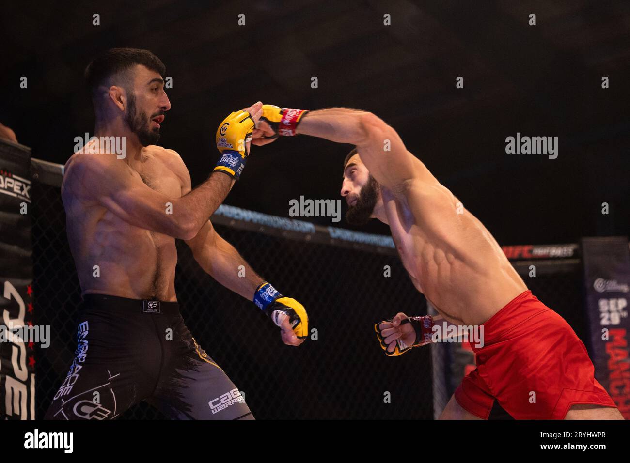 Mma punches hi-res stock photography and images - Alamy