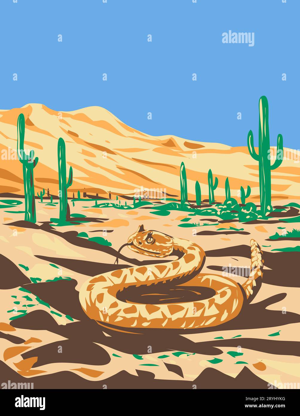 Western Diamondback Rattlesnake in Sonoran Desert National Monument ...