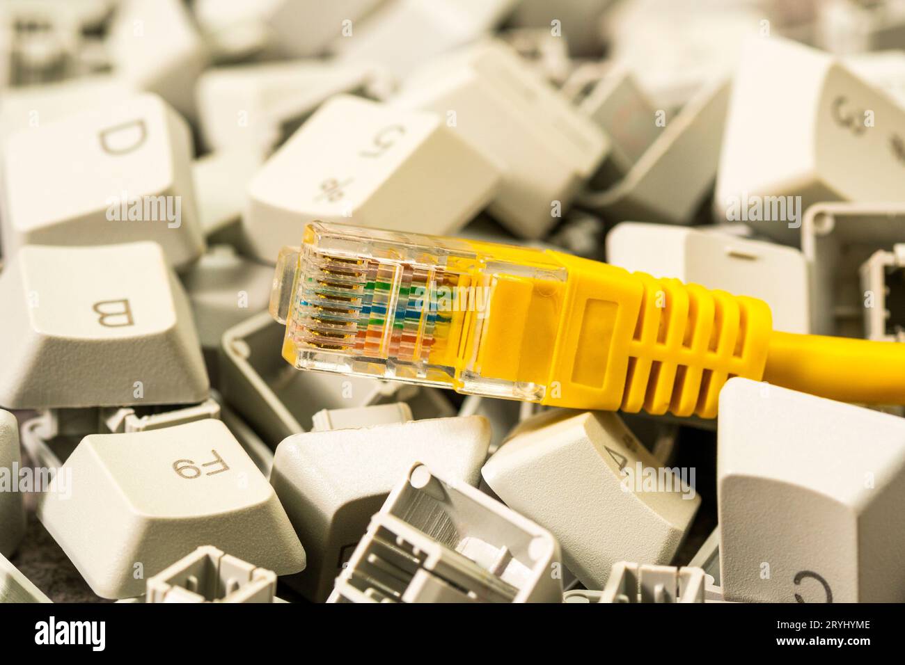 Rj45 connector macro hi-res stock photography and images - Alamy