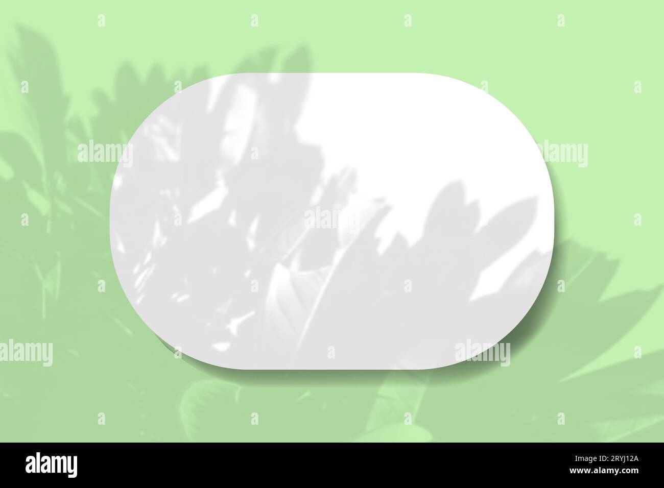 A horizontal oval sheet of white textured paper on the green wall ...