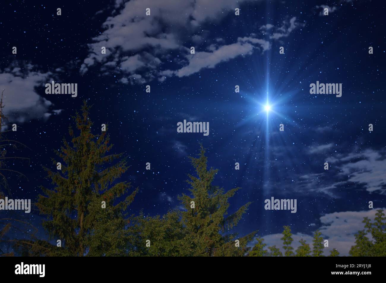 Christmas Star. Background with stars and trees in forest Stock Photo ...