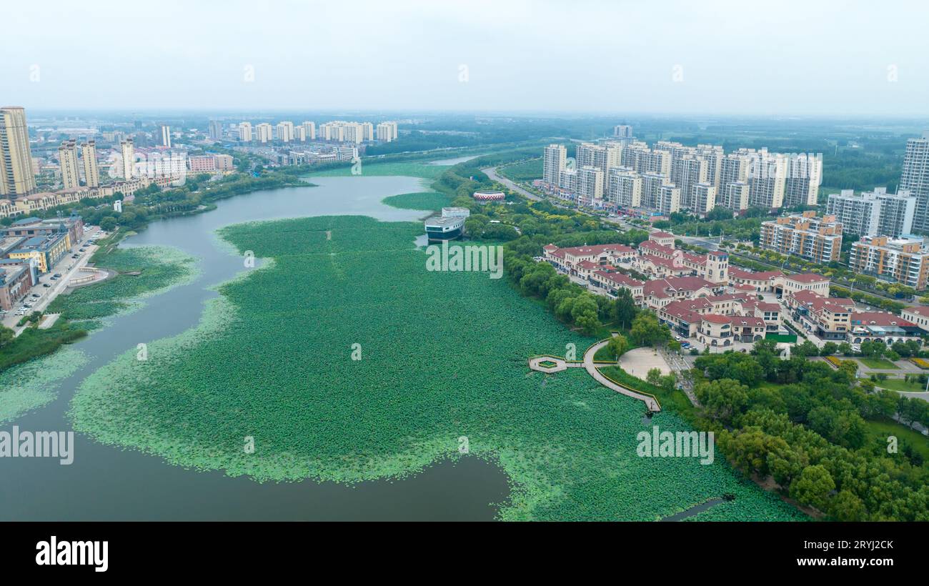 Aerial photography of waterfront city scenery in North China Stock ...