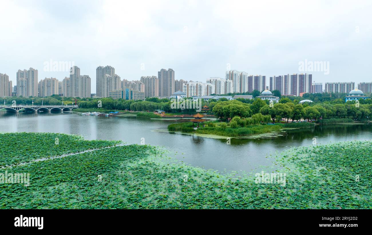Aerial photography of waterfront city scenery in North China Stock ...