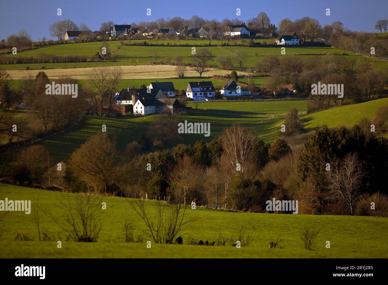 Housing estates in the countryside, Breckerfeld, Ruhr area, North Rhine ...
