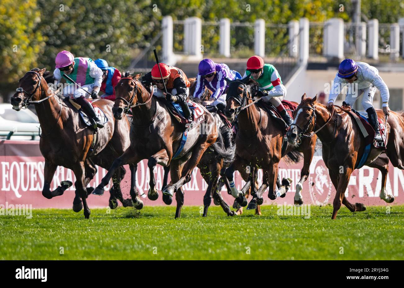 Ace impact horse hi-res stock photography and images - Alamy