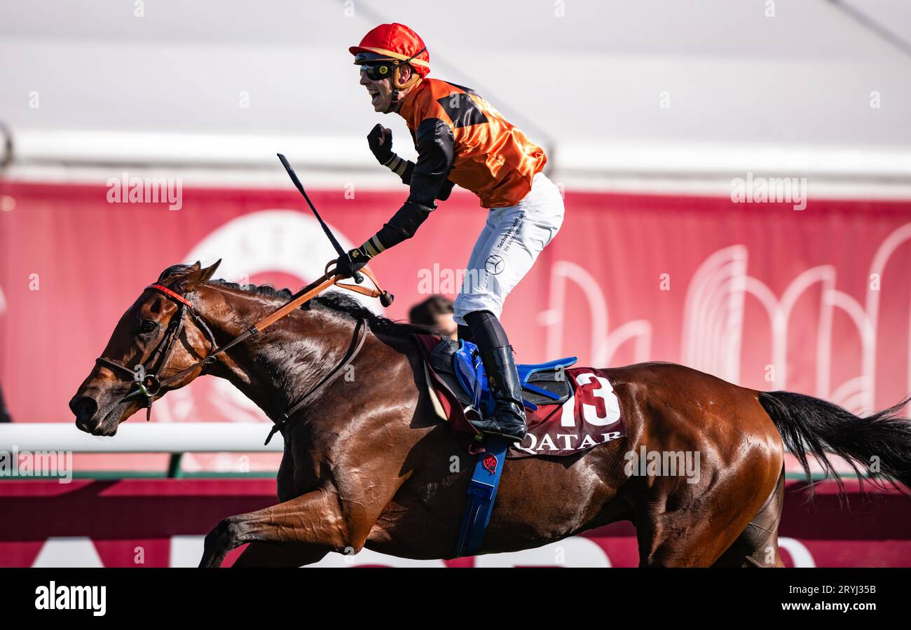 Ace impact horse hi-res stock photography and images - Alamy