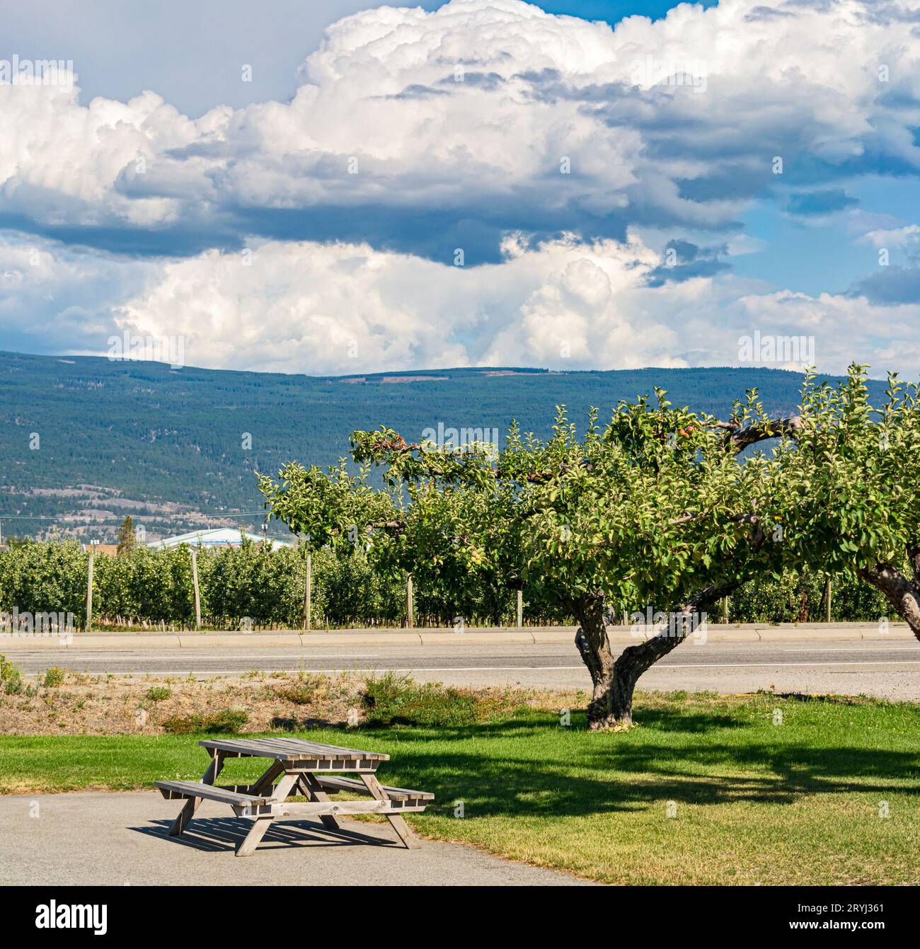 Mind recreation hi-res stock photography and images - Alamy