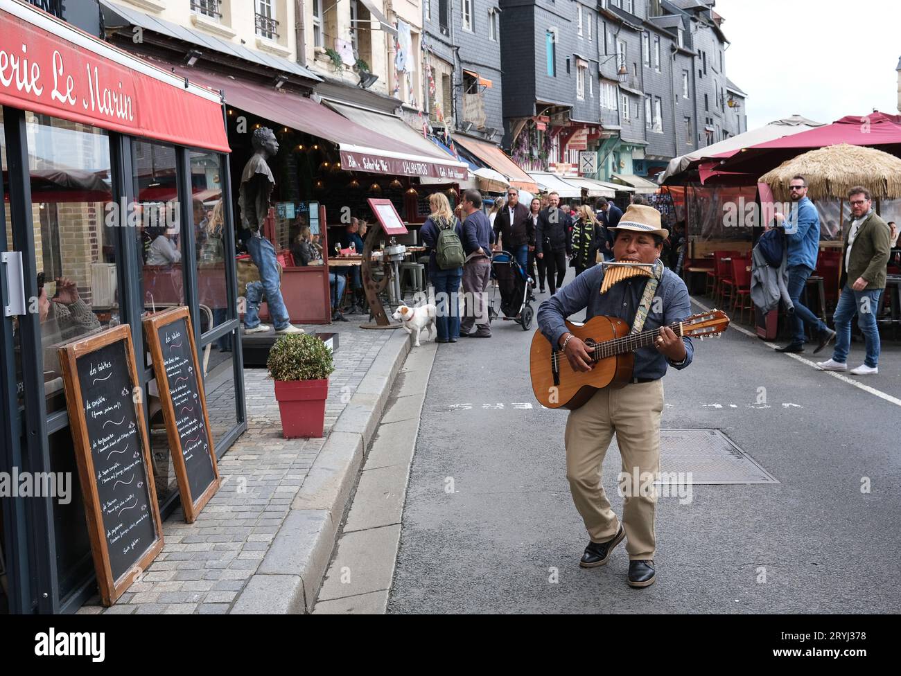 Street busker in Honfleur, France, French, Normandy, 2023 Stock Photo ...