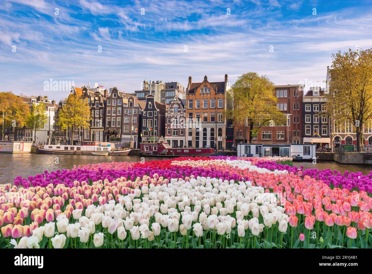 Amsterdam Netherlands, city skyline at canal waterfront with spring ...