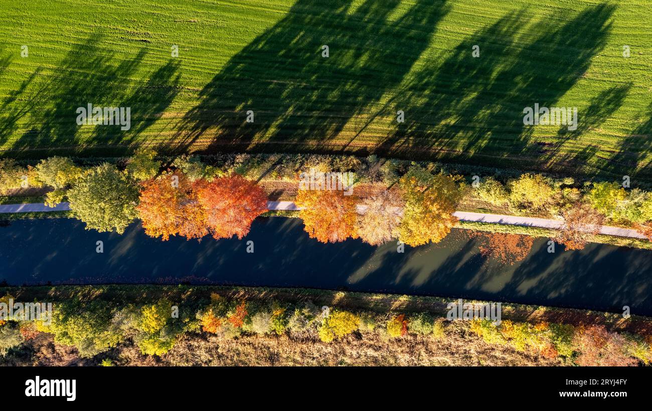 Aerial view oak tree hi-res stock photography and images - Alamy