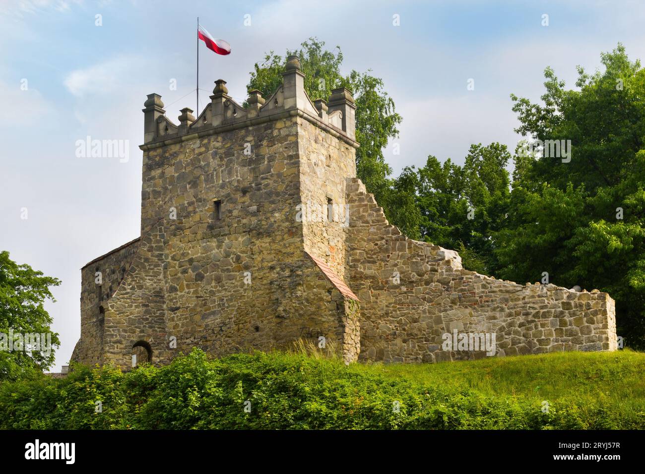 Ancient castle ruins tower in hi-res stock photography and images - Alamy